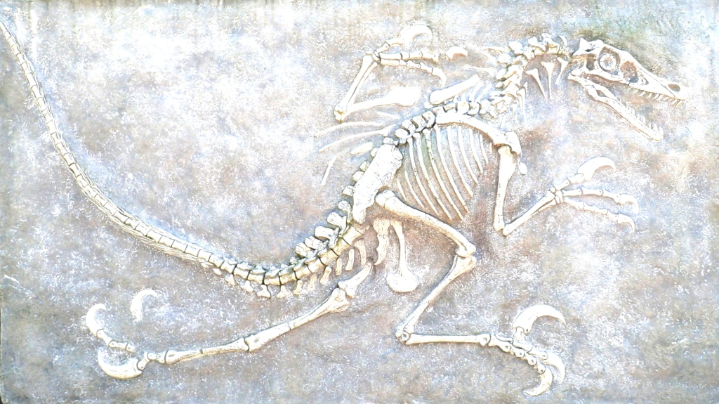 How Scientists Measure Dinosaur Sizes Using Fossils and Reconstructions