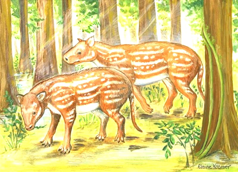 Hoofed Mammals: Understanding Their Role and Adaptations