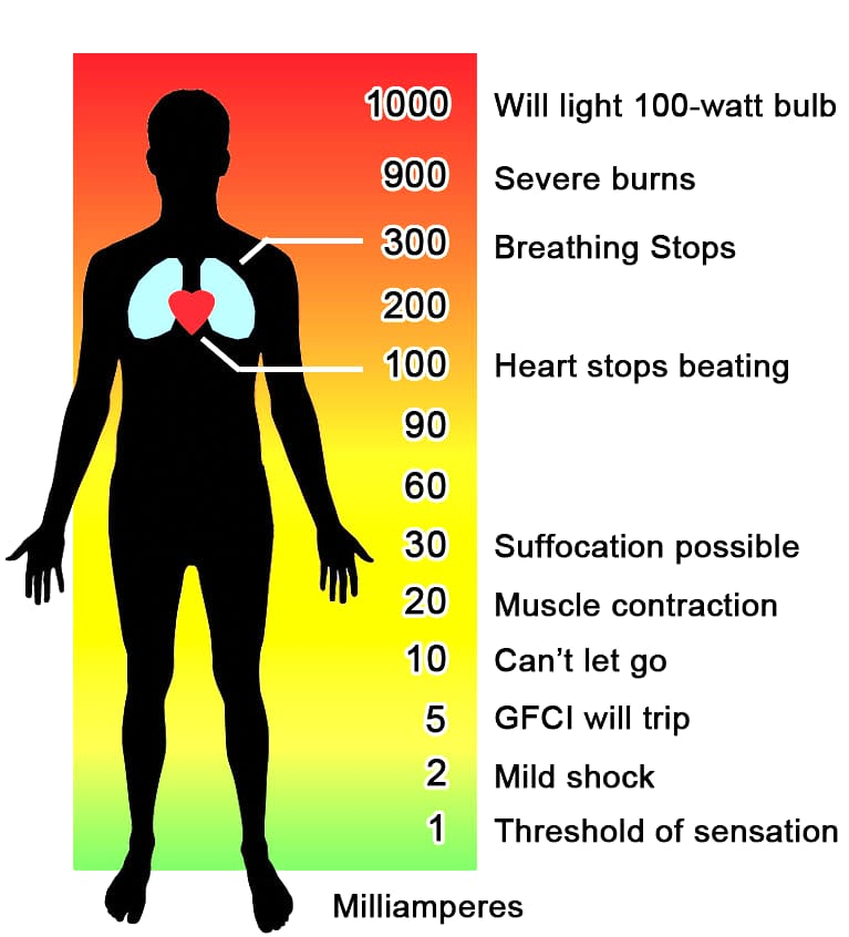 How the Human Body Generates Electricity and Its Role in Functioning