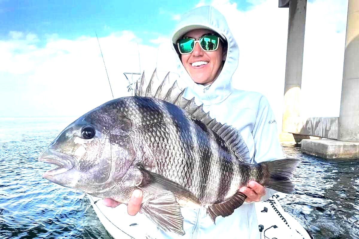 Sheepshead Fish: Habitat, Teeth, and Ecosystem Role Explained