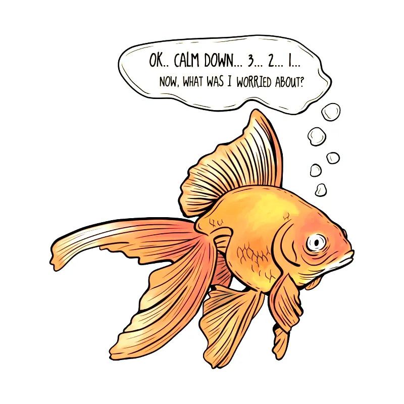 Goldfish Memory Facts and Myths Explained