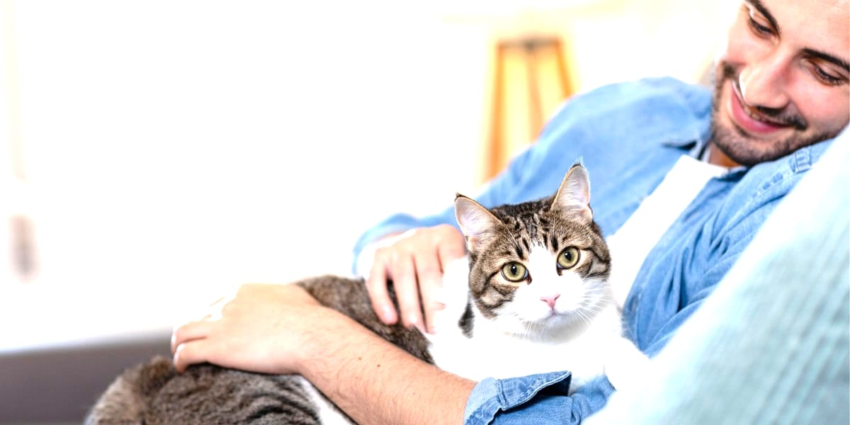 Complete Guide to Cat Care: Essential Tips for Happy Cats