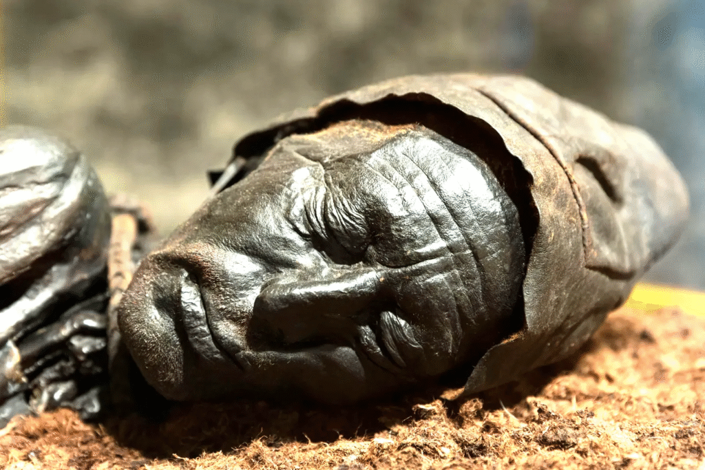 Bog Bodies and Desert Mummies: Preservation Insights