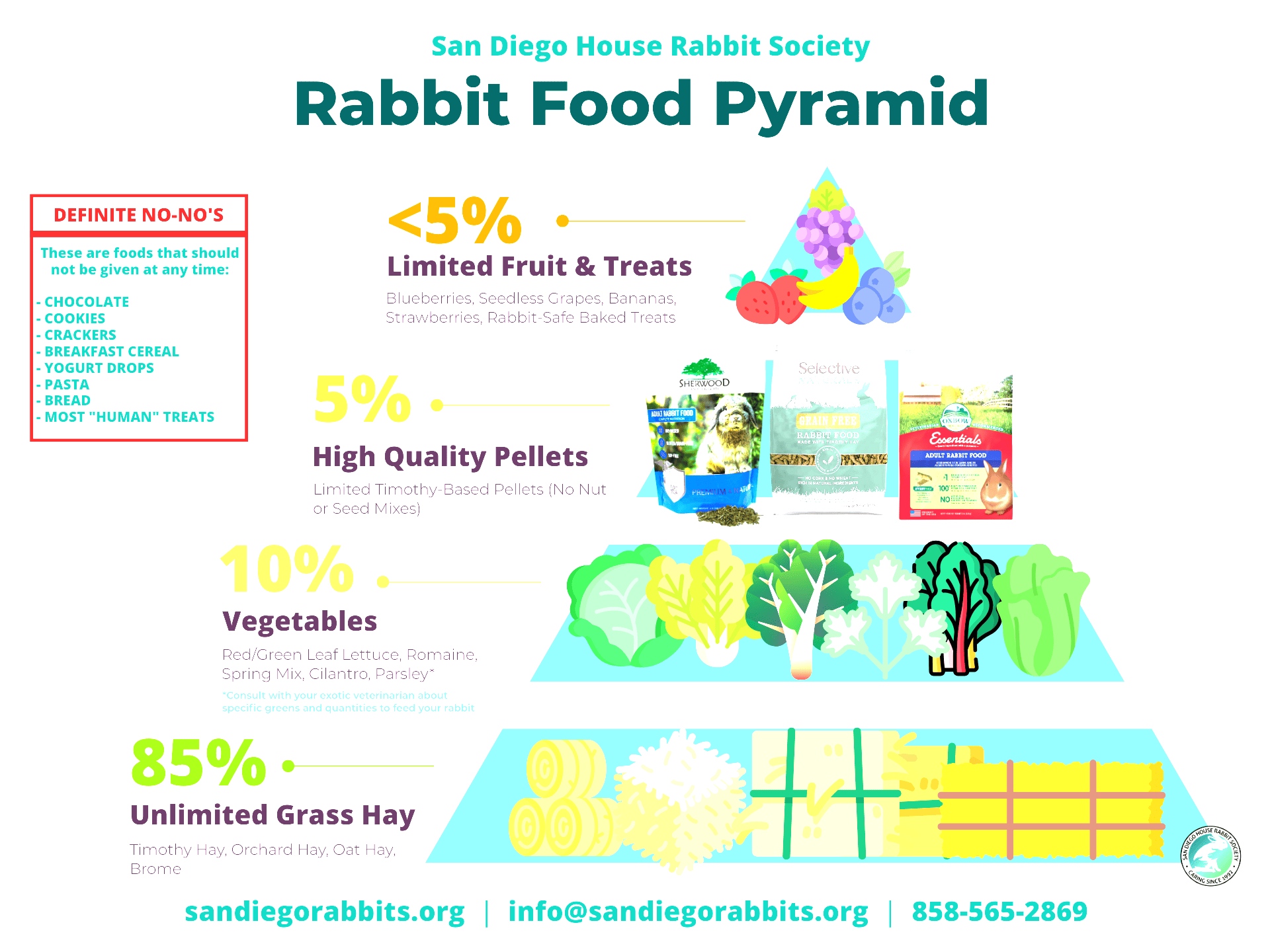 Essential Guide to Rabbit Diets: Carrots and More