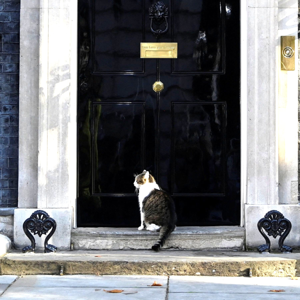 Larry the Cat: Chief Mouser of 10 Downing Street