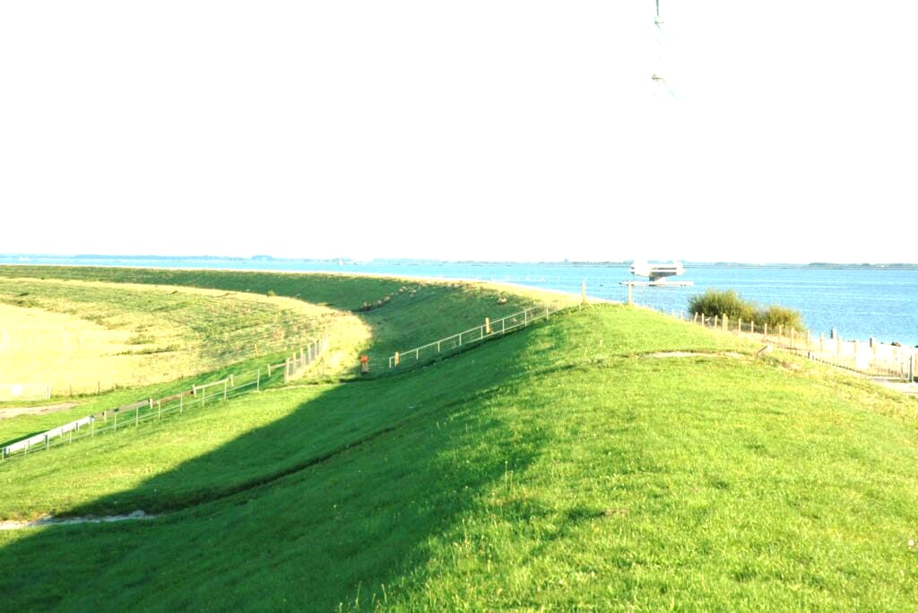 Levees Explained: Protection, Challenges, and Community Safety